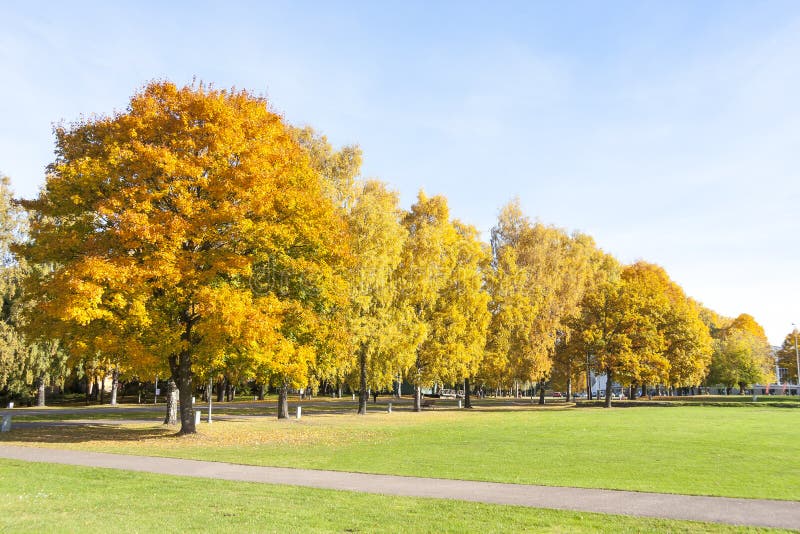 Colorful trees in autumn stock photo. Image of outdoor - 34440242