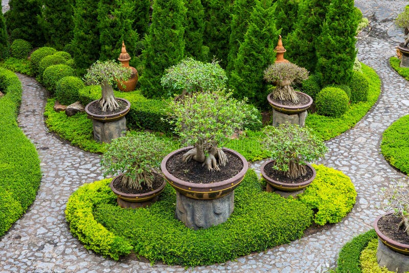 Colorful Trees Decorate Beautifully in the Garden Stock Image - Image ...