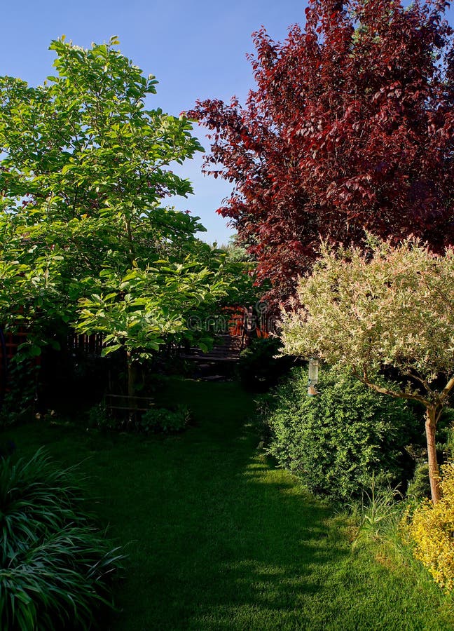 Colorful Trees in the Garden Stock Image - Image of landscape, green ...