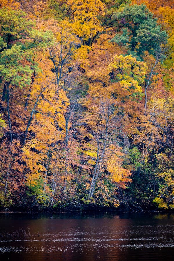 Colorful Trees in October Next To a Wisconsin Lake Stock Image - Image ...