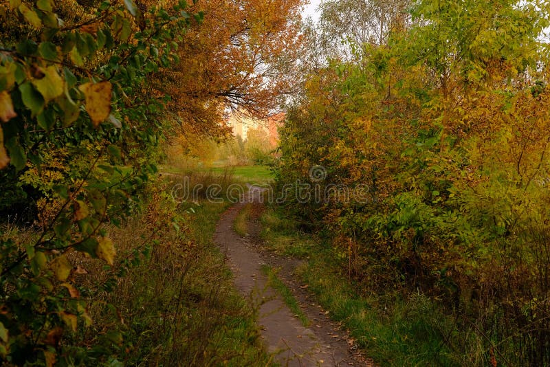 Colorful Trees with Pathway in Autumn Landscape in Deep Forest. the ...