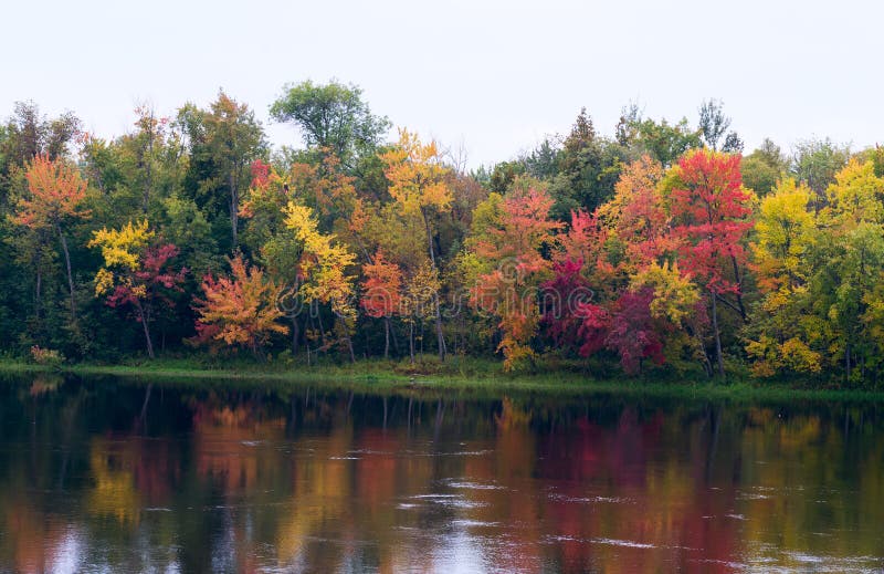 Colorful Trees on the River Bank Stock Image - Image of river, water ...
