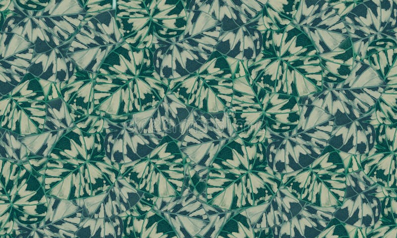 Colorful Tropical Leaves Spring Nature Wallpaper Background Stock ...