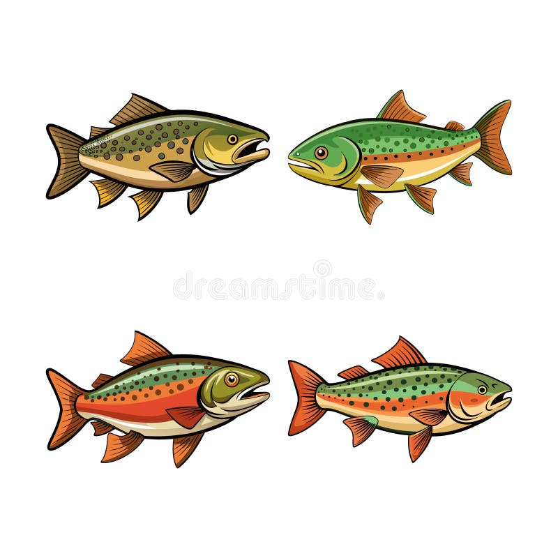 Colorful Trout Fish Illustration with Realistic Detail Stock Vector ...