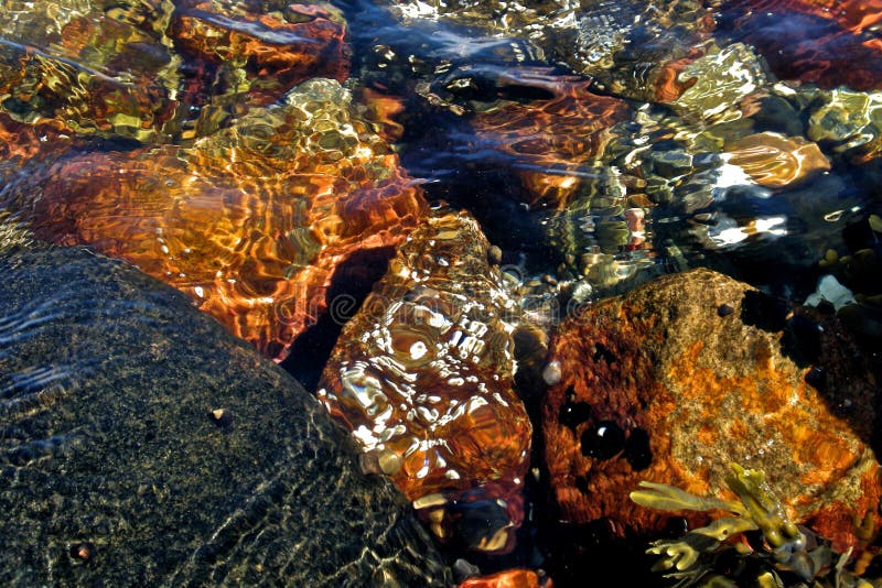 Colorful underwater rocks stock image. Image of nature - 49813217