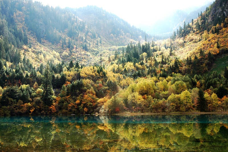 Colorful valley stock photo. Image of closeup, natural - 10055554