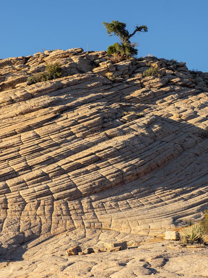Rock Layers and Erosion Create Swirl Pattern Stock Image - Image of ...