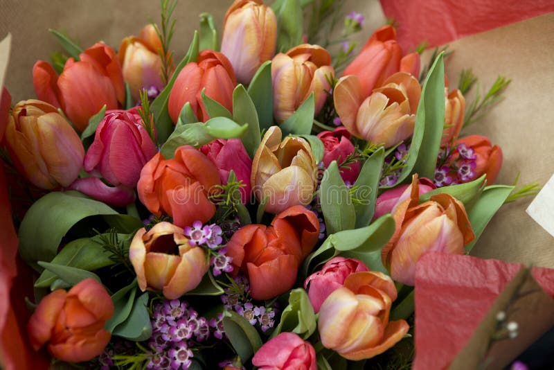 Colorful Variety of Flowers Stock Photo - Image of building, market ...