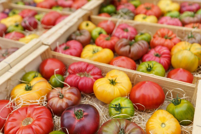Colorful Various Tomatoes, Arranged in Wooden Boxes Stock Photo - Image ...