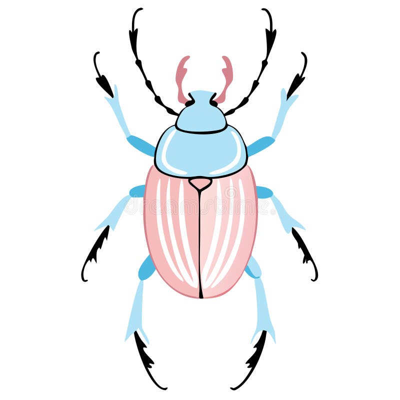 Colorful Vector Beetle Illustration with Abstract Design for Art ...