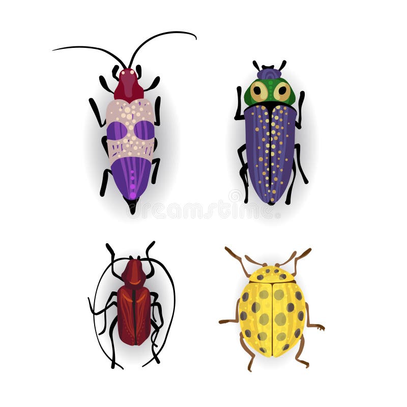 Colorful Vector Drawing of Small Beetles. Stock Vector - Illustration ...