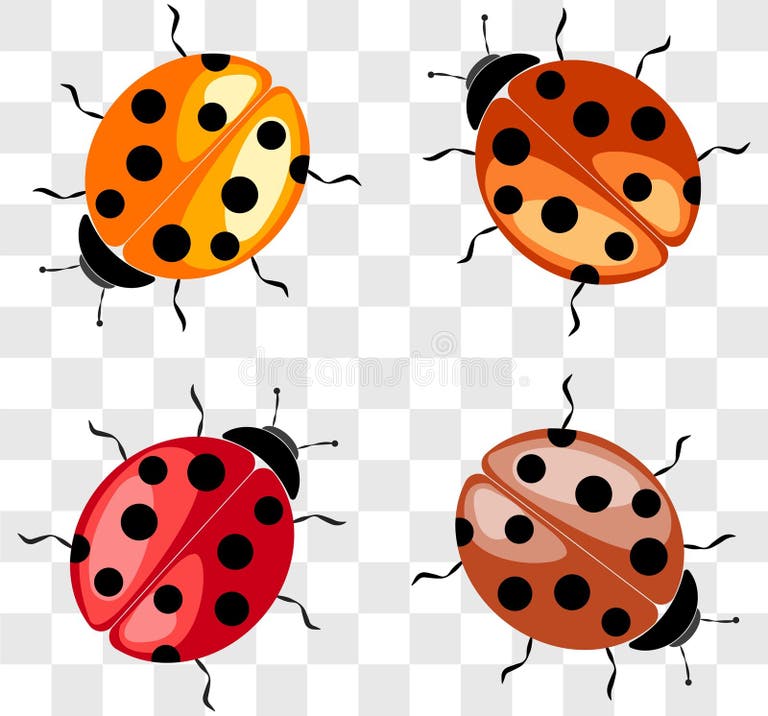 Colorful Vector Illustration of Ladybugs in Various Colors and Patterns ...