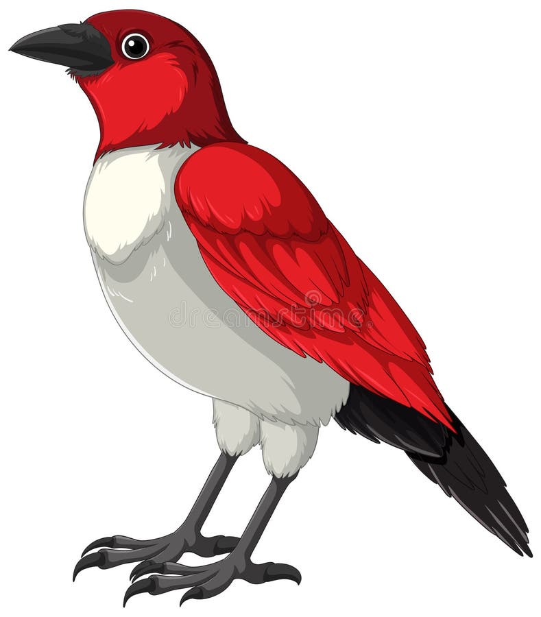 A red and white bird stock vector. Illustration of detailed - 316706034