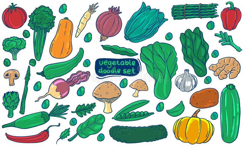 Colorful Vegetable Doodle Illustration Set. Hand Drawn Set of ...
