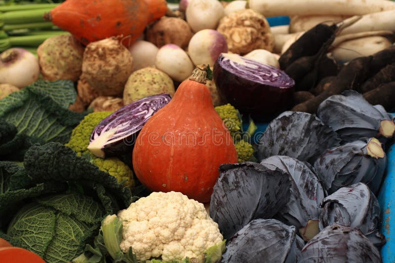 Colorful vegetables stock image. Image of multicolored - 1702985