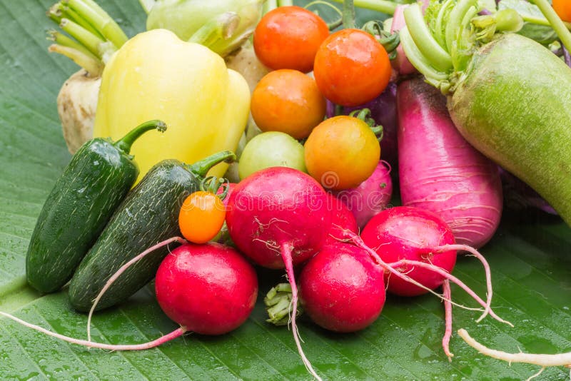 Colorful Vegetables stock image. Image of coloured, leaf - 70841711
