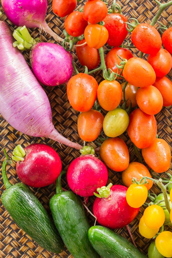 Colorful Vegetables stock photo. Image of colorful, produce - 70842986