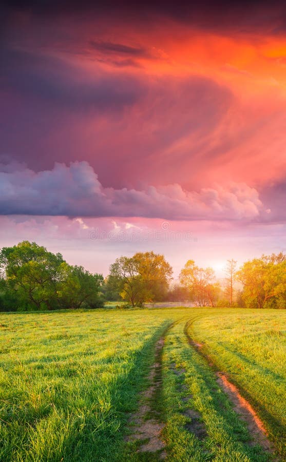 Colorful Vertical Panorama of the Spring Meadow with Country Road Stock ...