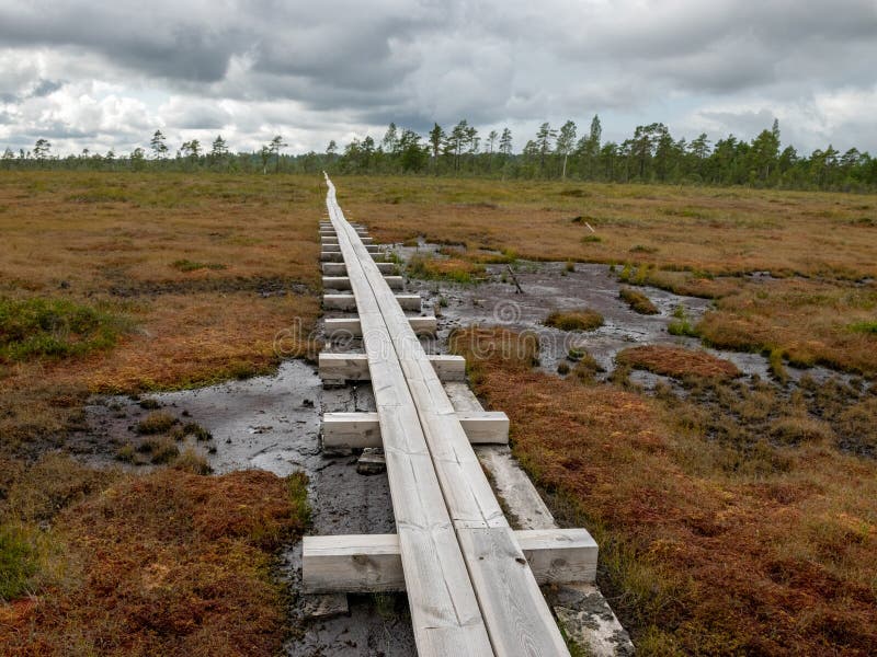 Colorful View of the Bog with Clouds Stock Image - Image of foreground ...