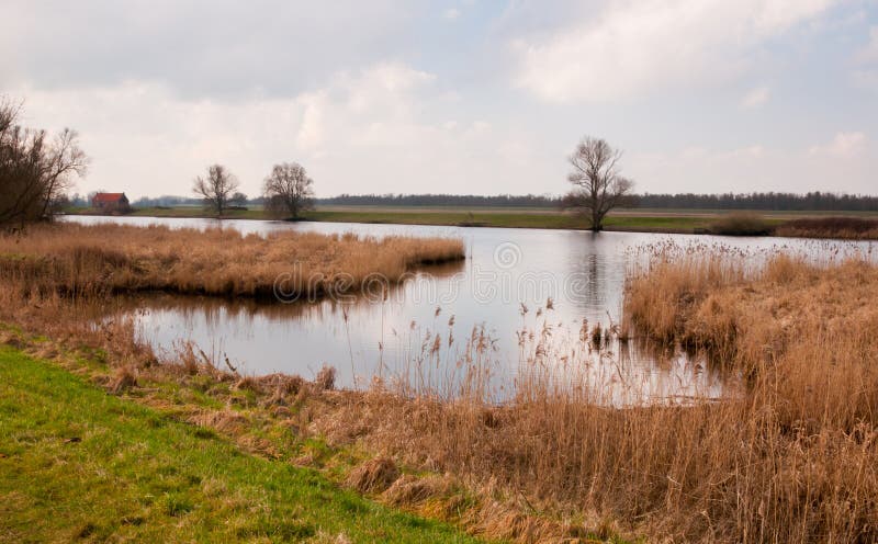 Colorful View at a Dutch Nature Reserve Stock Photo - Image of brown ...
