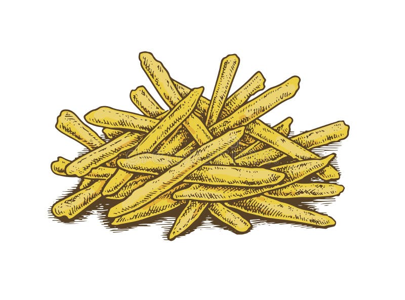 Colorful Vintage Style Hand Drawn Fried Potatoes. Stock Vector ...