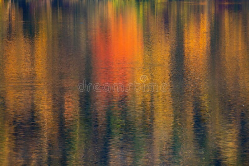 Colorful water reflection stock image. Image of foliage - 161269767