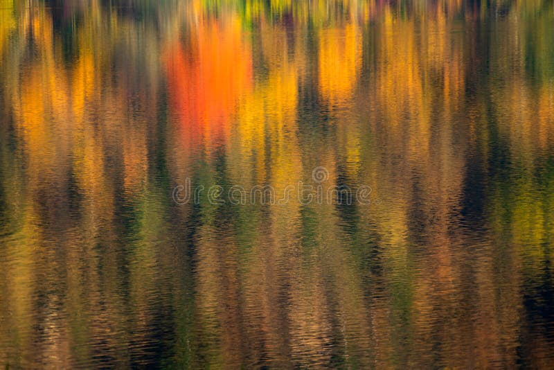 Colorful water reflection stock photo. Image of forest - 161270224