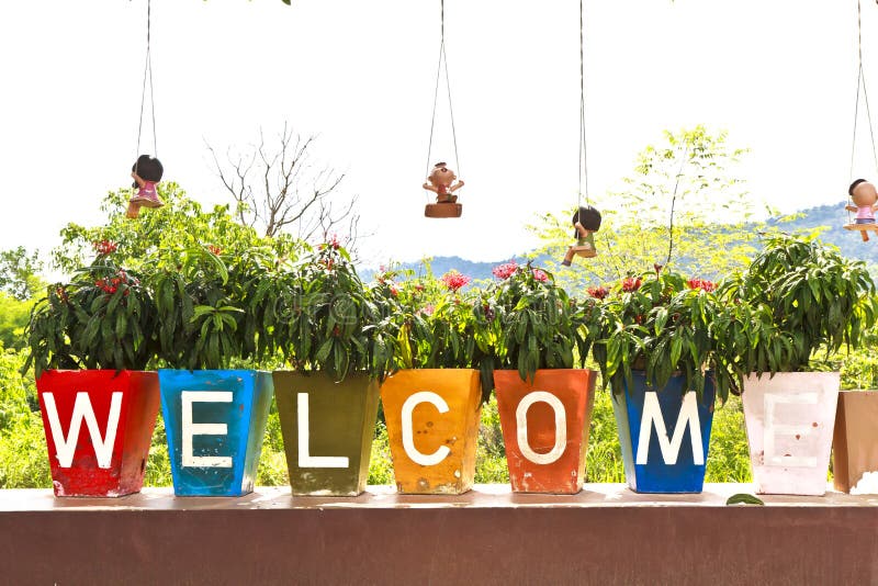 404 Welcome Word Green Plant Background Stock Photos - Free & Royalty ...