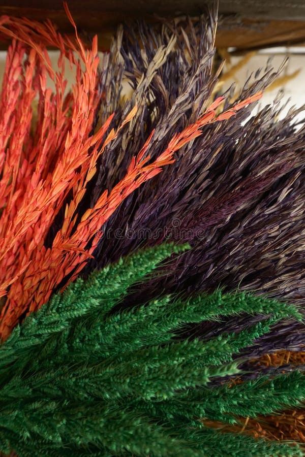 Colorful wheat decoration stock image. Image of flora - 63520391