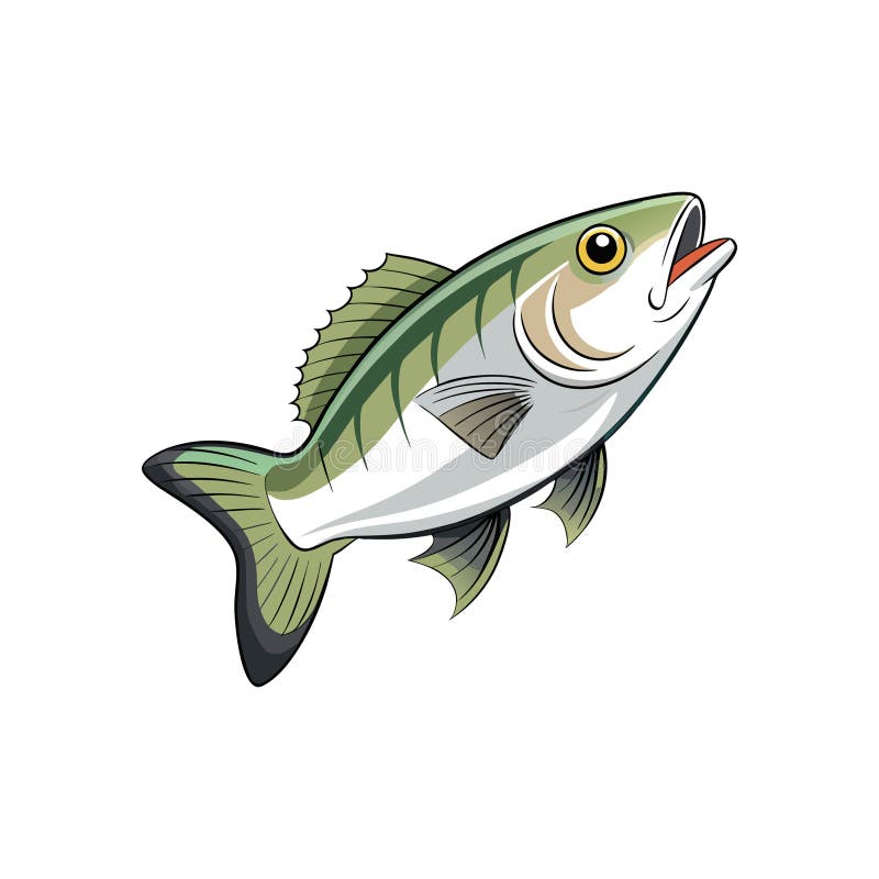 Colorful Whitefin Bass Fish Realistic Display Stock Image ...