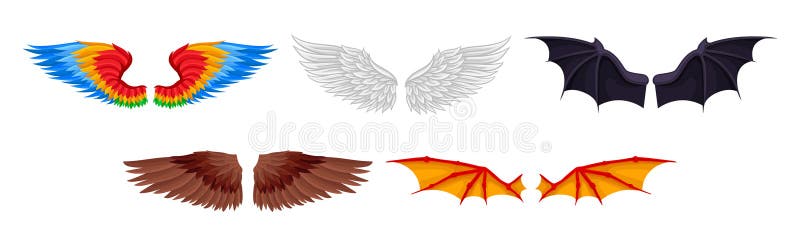 Colorful Wings of Different Flying Creature Vector Set Stock Vector ...