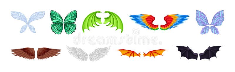 Colorful Wings of Different Flying Creature Vector Set Stock ...