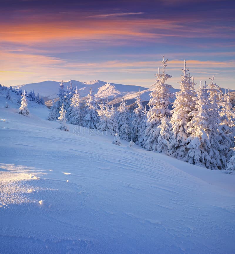 Colorful Winter Morning In The Mountains Stock Image - Image of ...
