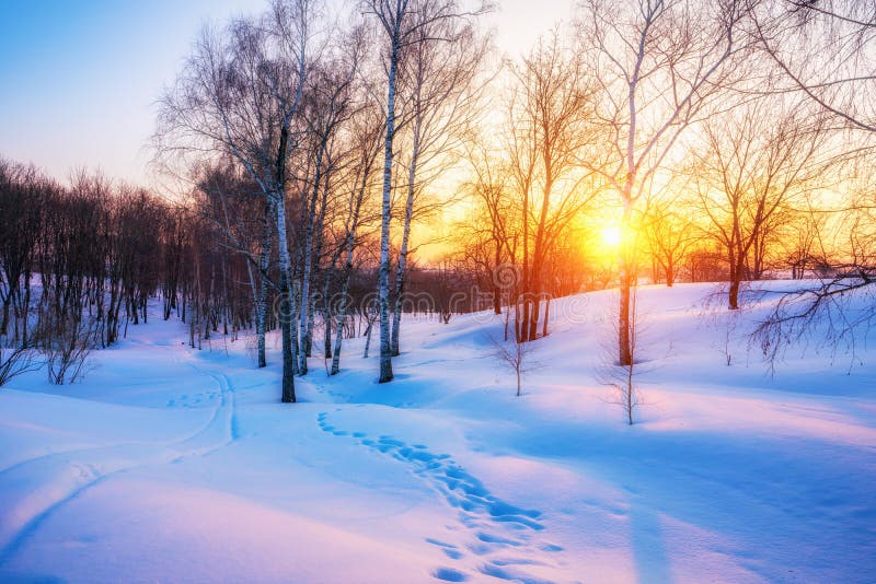 Colorful winter sunset stock photo. Image of sunlight - 162236664
