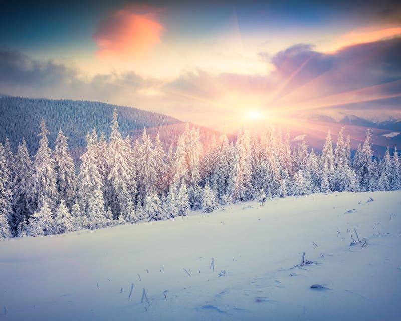 Colorful Winter Sunset in the Snowy Mountains. Stock Photo - Image of ...