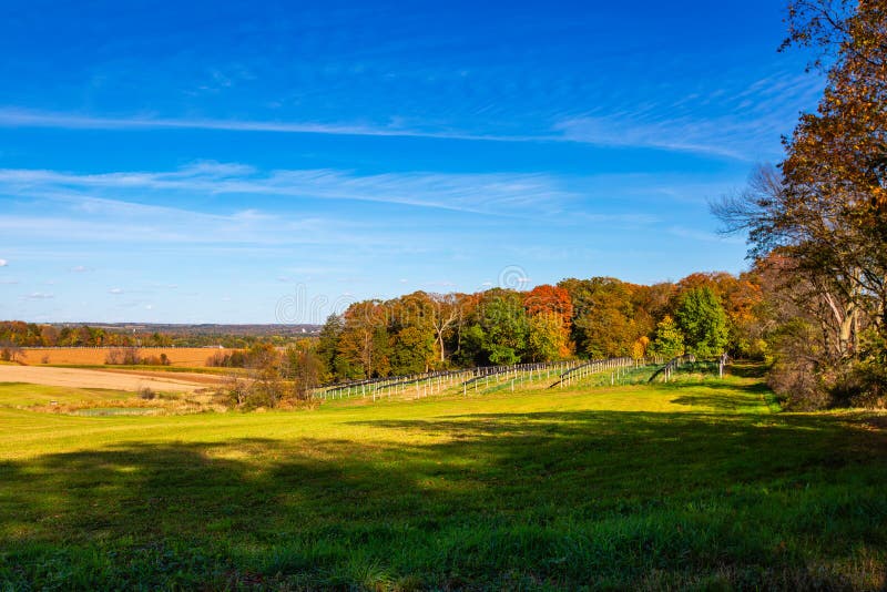 Colorful Wisconsin Forest and Farmland in Early October Stock Photo ...