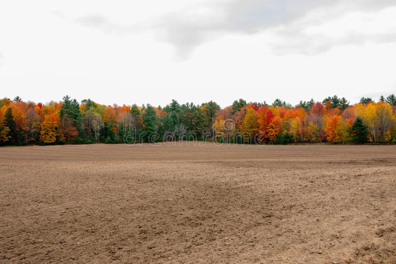 Colorful Wisconsin Forest and Farmland in October Stock Photo - Image ...