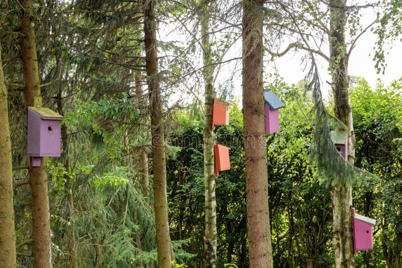 Colorful Wooden Nesting Boxes for Birds Stock Photo - Image of home ...