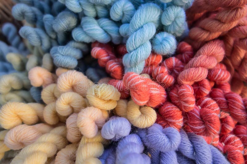 Display of Multicolored Roses Stock Image - Image of rainbow, pink: 146443