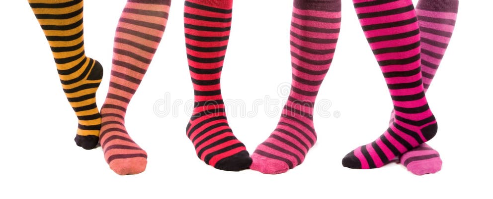 Colorful Zebra Foots stock photo. Image of women, white - 4886446
