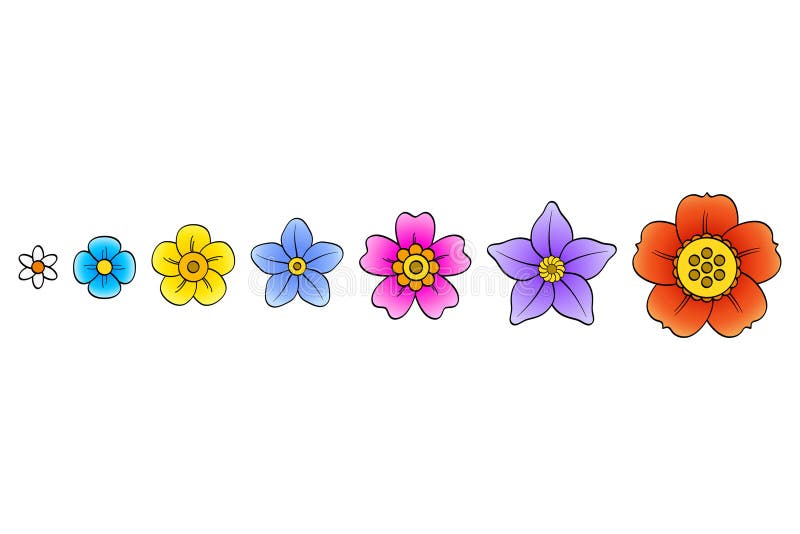 Group of Colorful Fantasy Blossoms, a Set of Seven Flowers in a Row ...