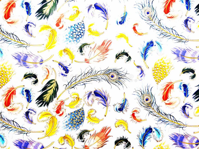 Colorfull feathers stock image. Image of feather, background - 24579943