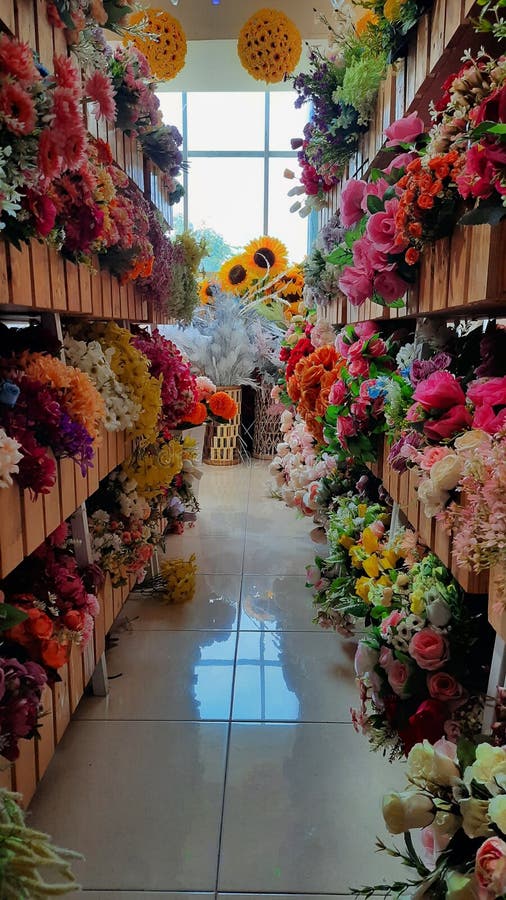 Colorfull Flowers hall stock image. Image of plant, yellow - 209649851