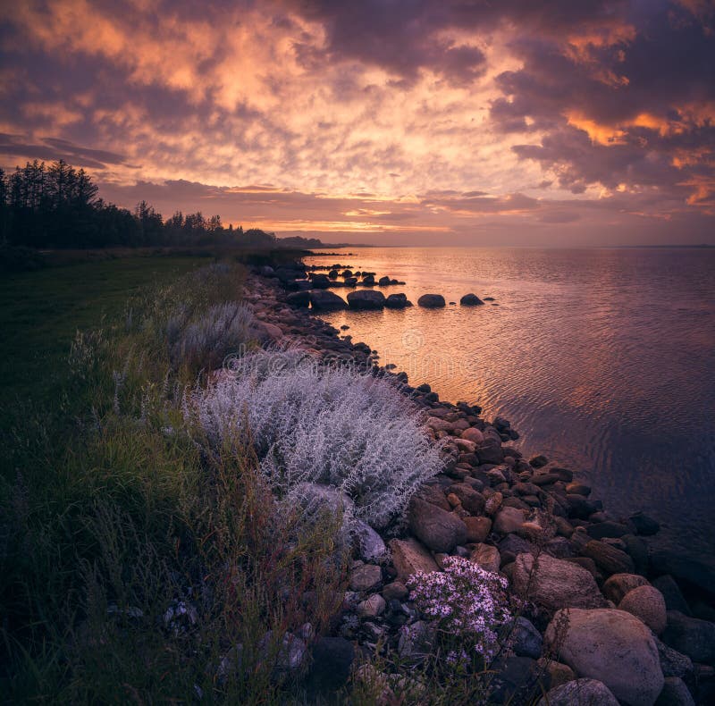 Colorfull Sunset at Limfjord, Denmark Stock Photo - Image of tranquil ...