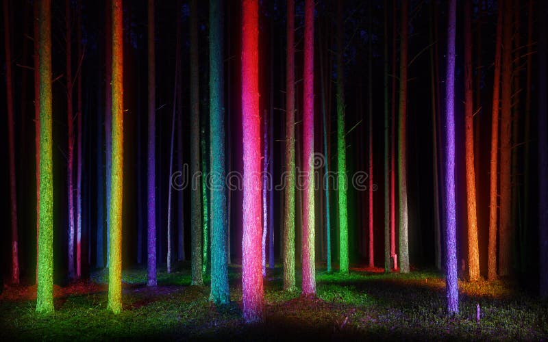 Colorfully Lit Trees in Forest Stock Image - Image of illuminated ...
