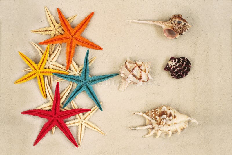 Colorfully Painted Starfishes and Seashells on Light Gray Sand. Top ...