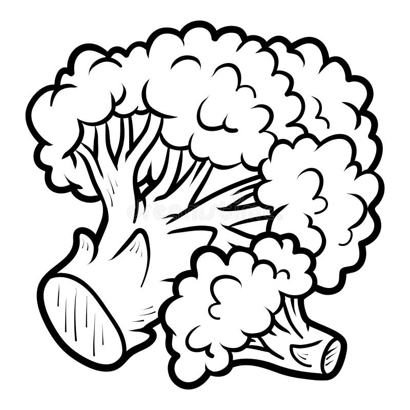 Coloring book, Broccoli stock vector. Illustration of cabbage - 111201919