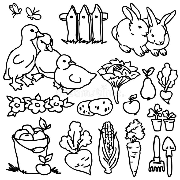 Cartoon Garden Fruits Vegetables Stock Illustrations – 3,295 Cartoon ... Cartoon Garden Fruits Vegetables Stock Illustrations – 3,295 Cartoon ...