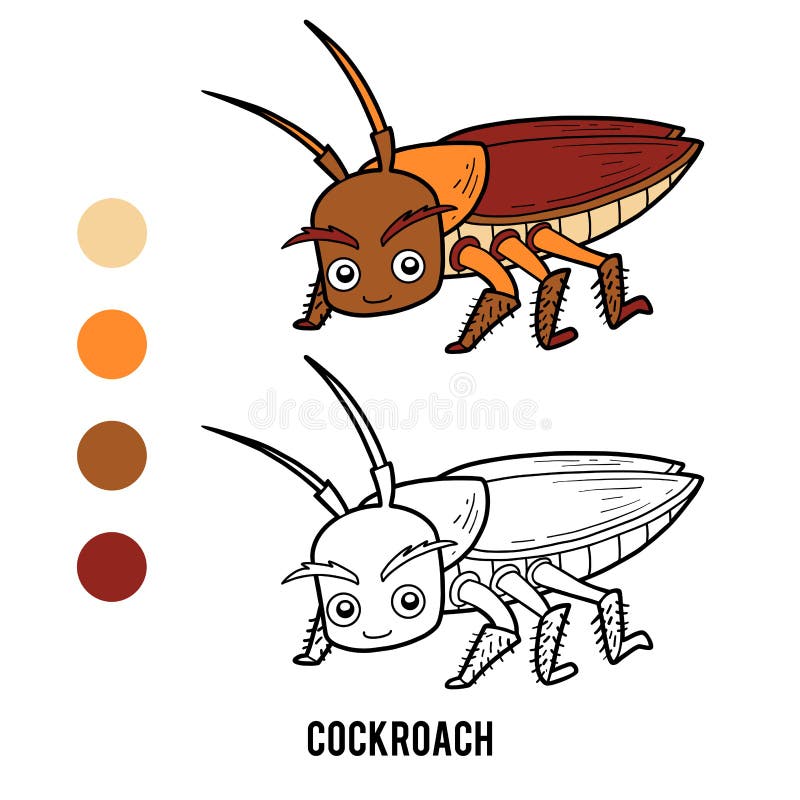 Cockroach Worksheet Stock Illustrations – 43 Cockroach Worksheet Stock ...