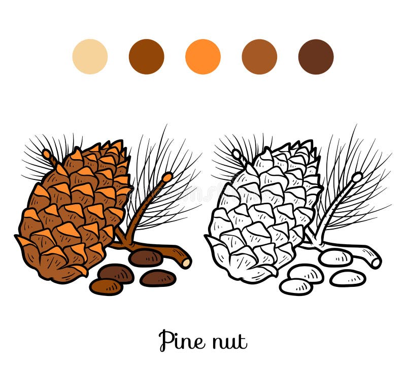 Nut Coloring Stock Illustrations – 748 Nut Coloring Stock Illustrations ...